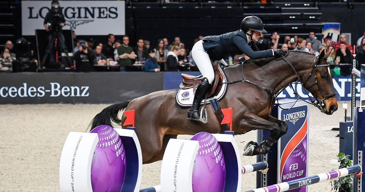 Improve Your Jumping Position with These 4 Steps – horseXperiences™ GO ...